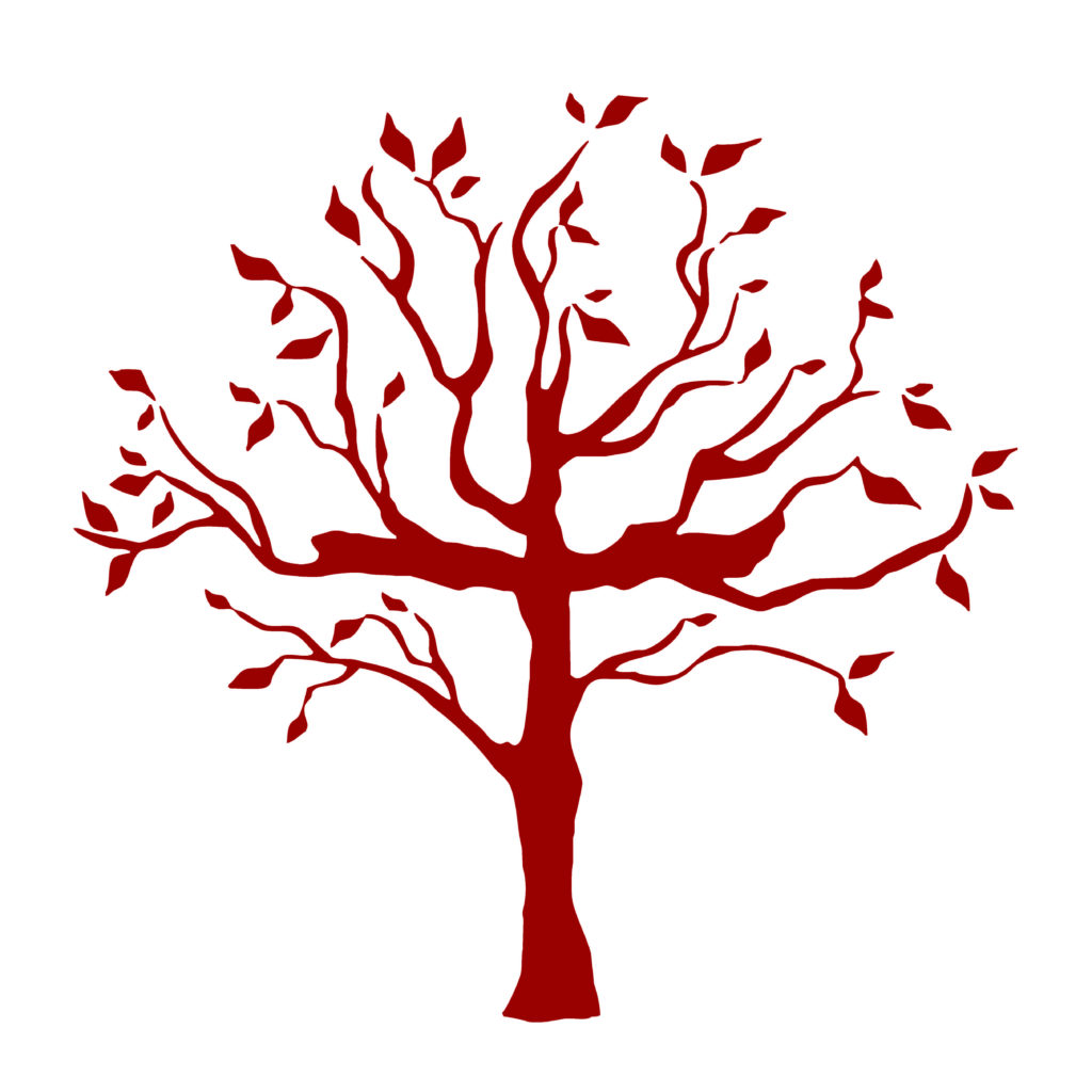 History and Founders - Institute For Discipleship